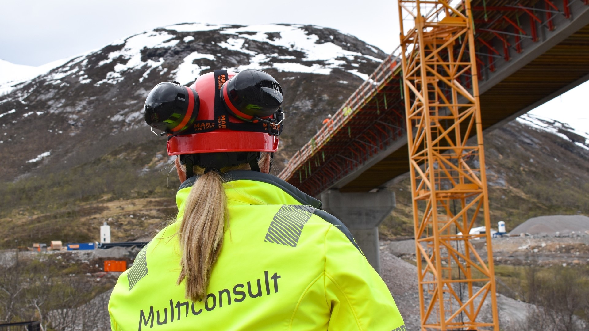 Kornsernledelse og styre