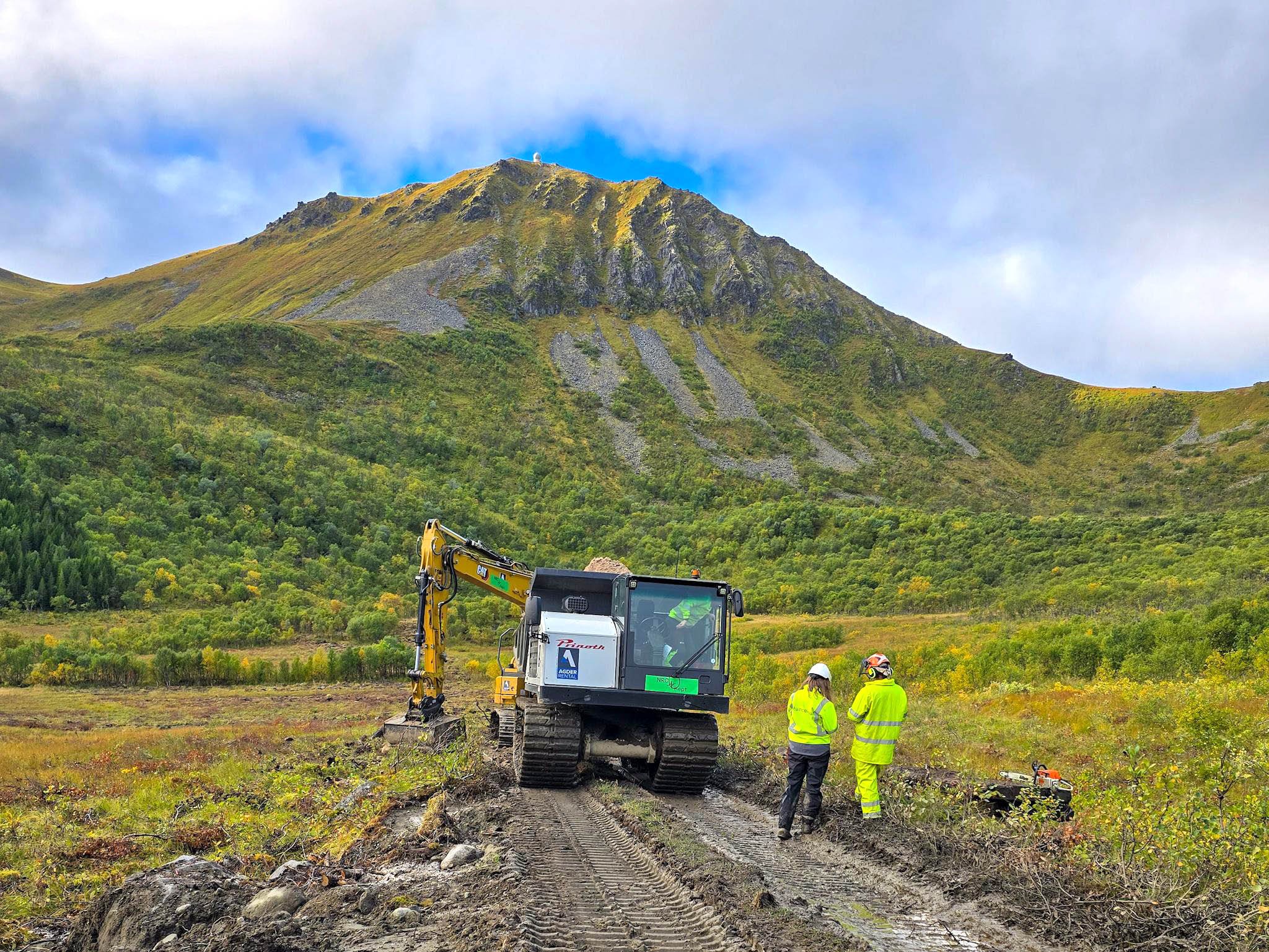 Kornsernledelse og styre